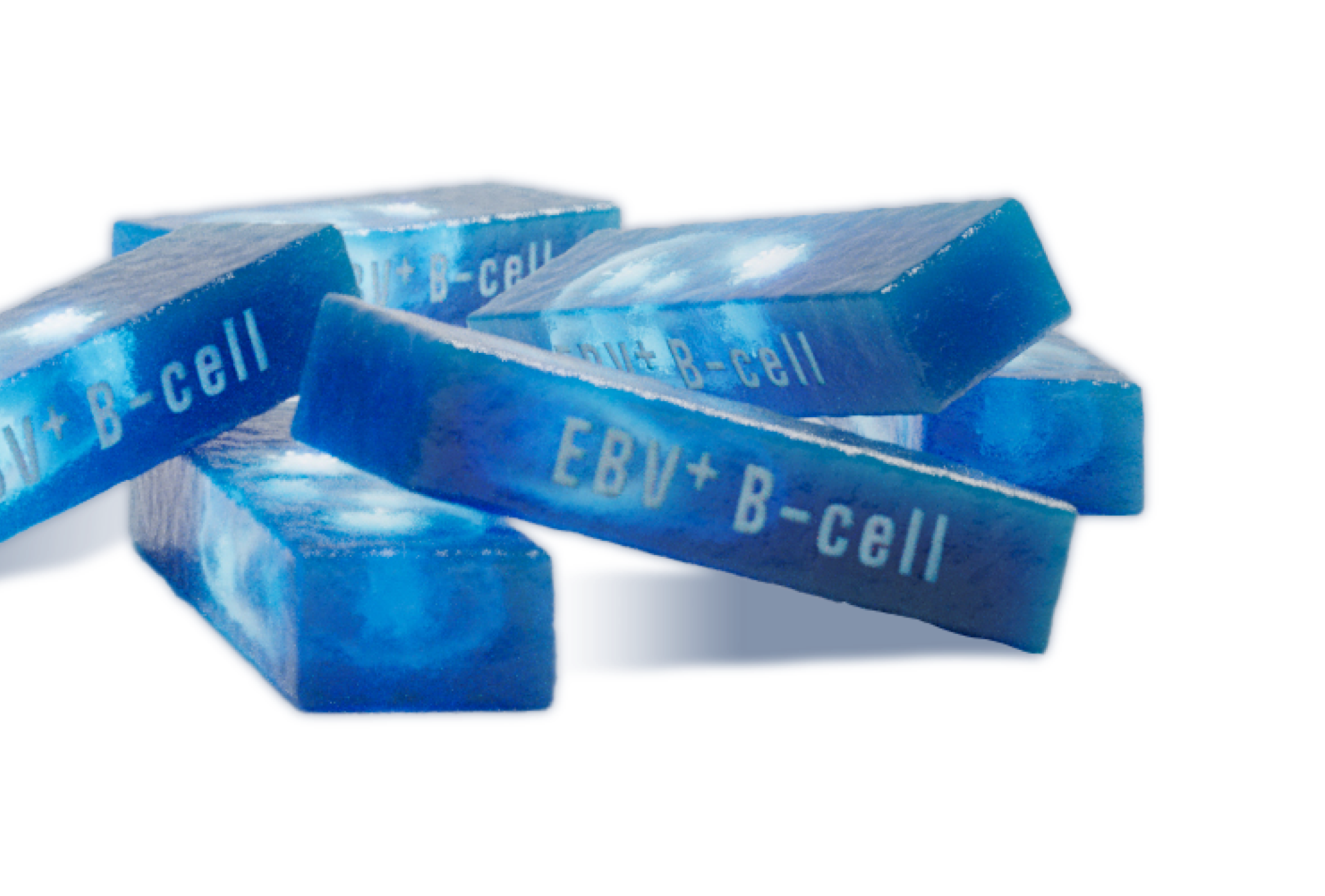 Pierre-Fabre-EBV-PTLD
